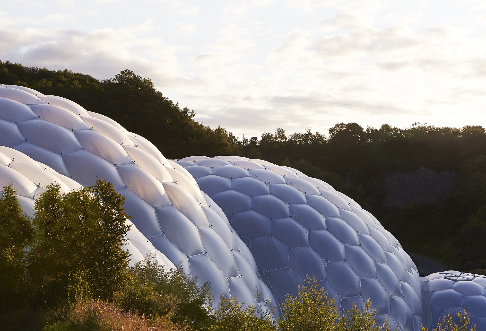 Eden Project - Access Disability