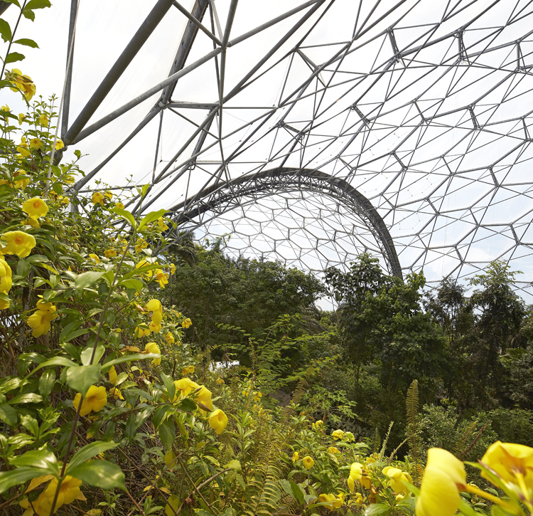 Eden Project - Access Disability